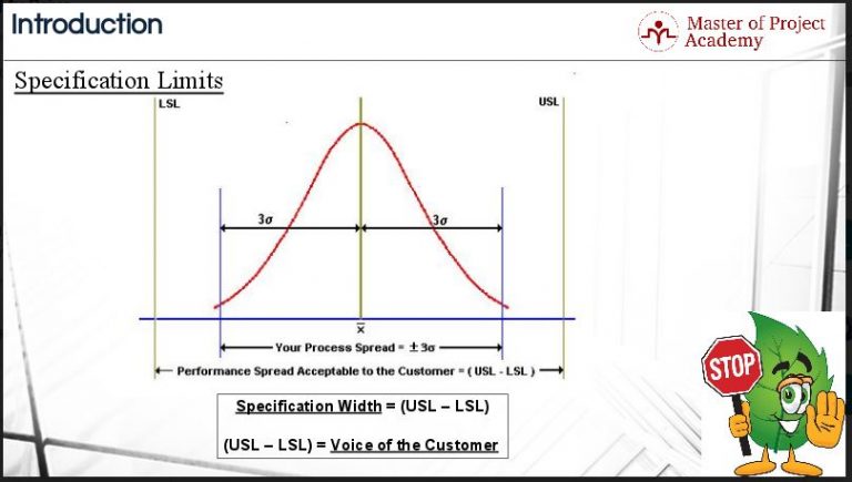 How Do The Six Sigma Statistics Work