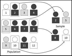 Data Collection Plan: Learn to Create It In 8 Steps