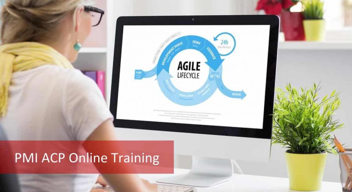 2025 PMI ACP Online Training: Comparison of PMI ACP Online Training