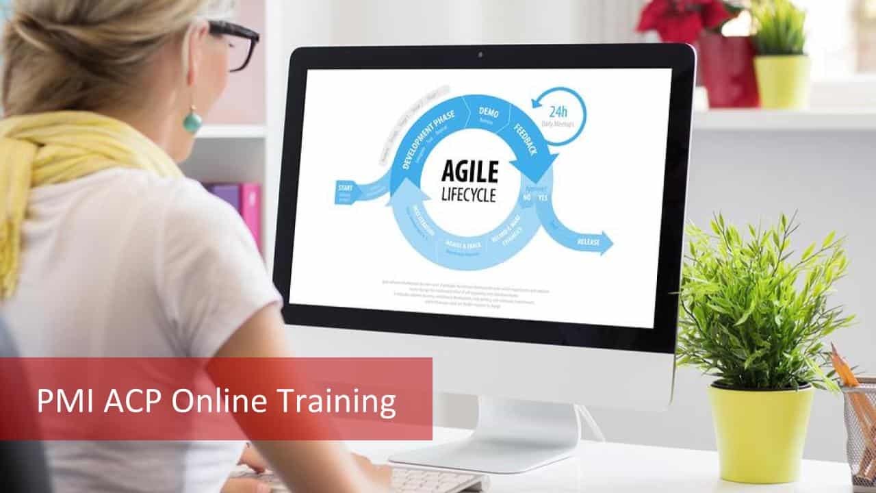 2025 PMI ACP Online Training: Comparison of PMI ACP Online Training