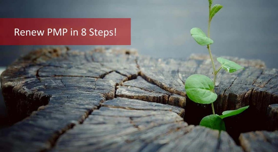 8 Steps to Renew PMP in 2023 - Don't Risk Your Renew PMP Process