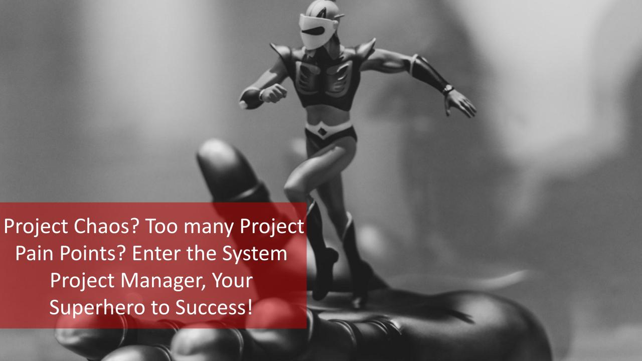 Project Chaos? Too many Project Pain Points? Enter the System Project ...
